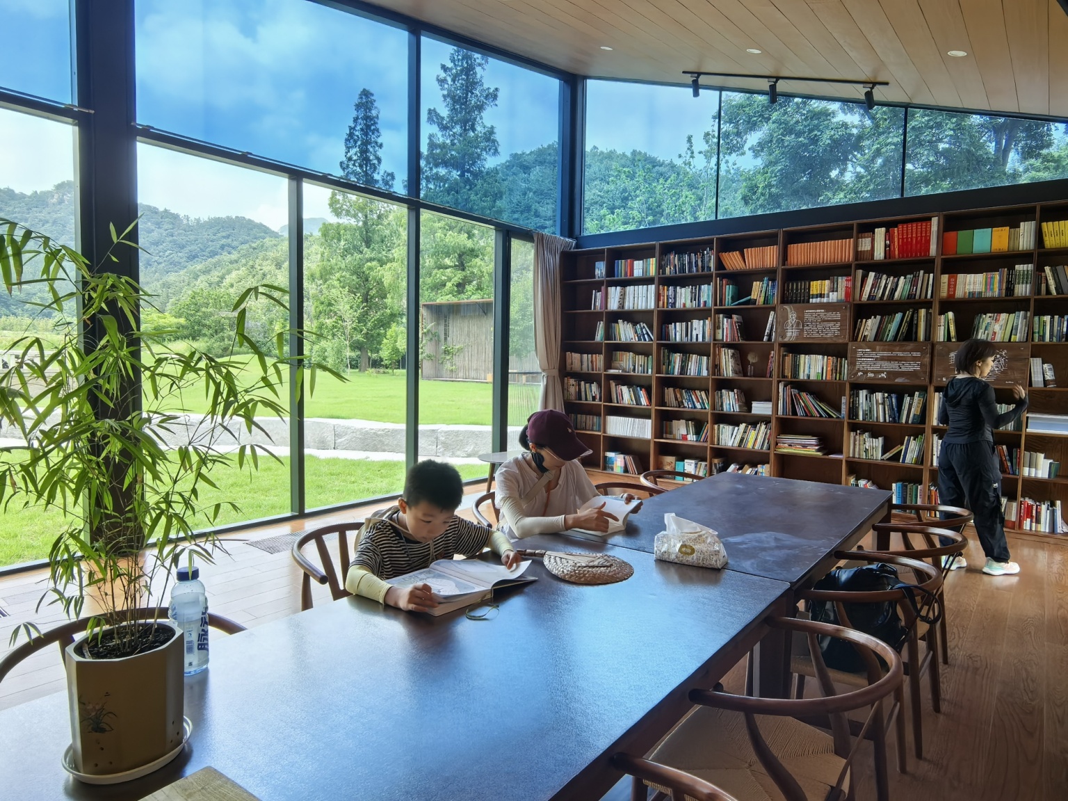 It’s not a toilet, but a seed of a big tree by Atelier Scale – mooool