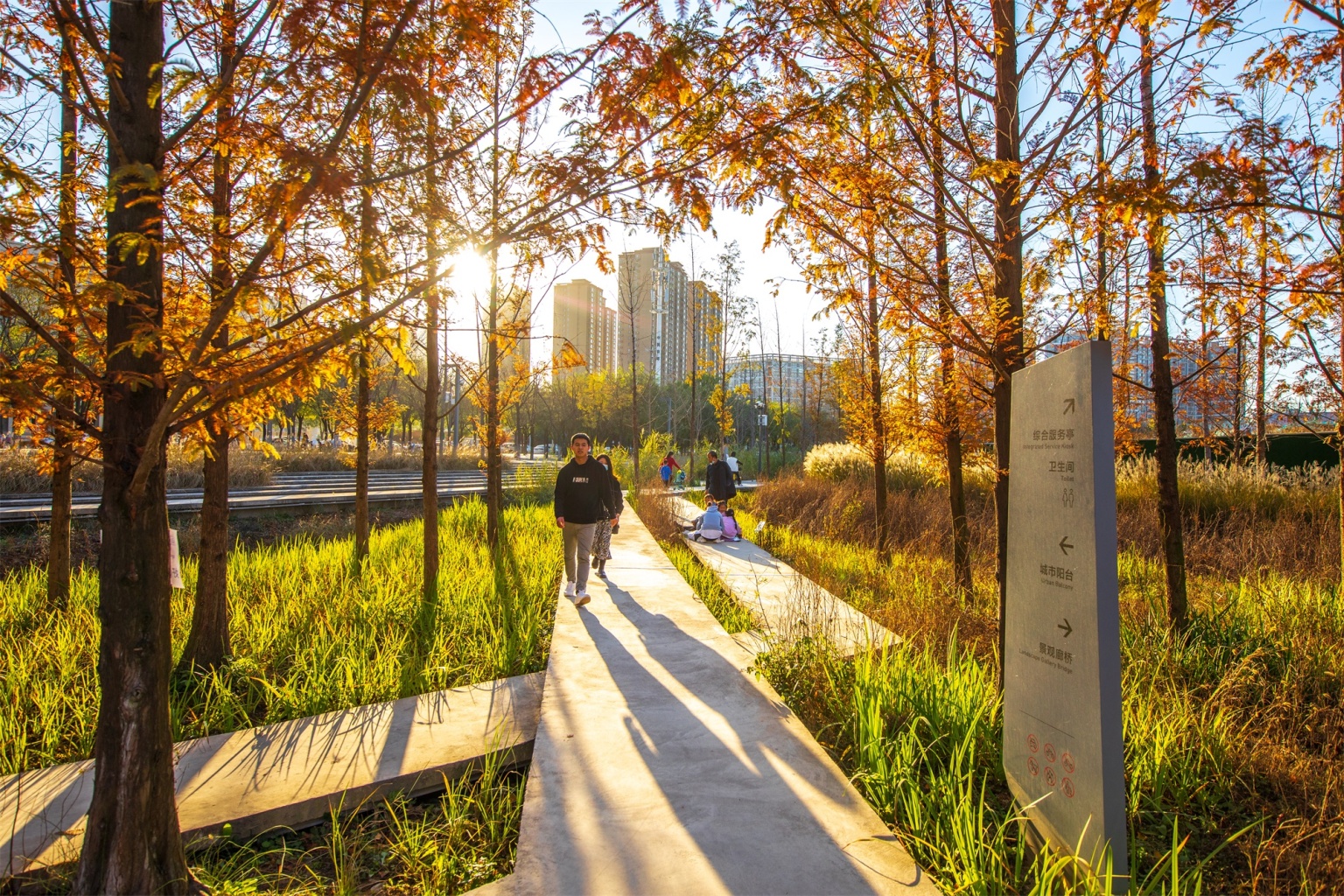 海绵织锦：从混凝土废料到雨洪调蓄的社区客厅 | 西安雁南公园二期 / 土人设计 – mooool木藕设计网