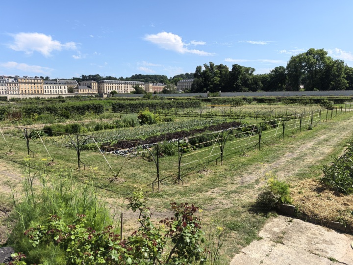 Six major trends in China’s landscape industry over the next 10 years as seen from two major ...