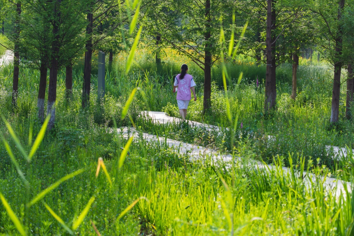 大地长河：以作品缅怀，其精神长存 | 俞孔坚 – mooool木藕设计网