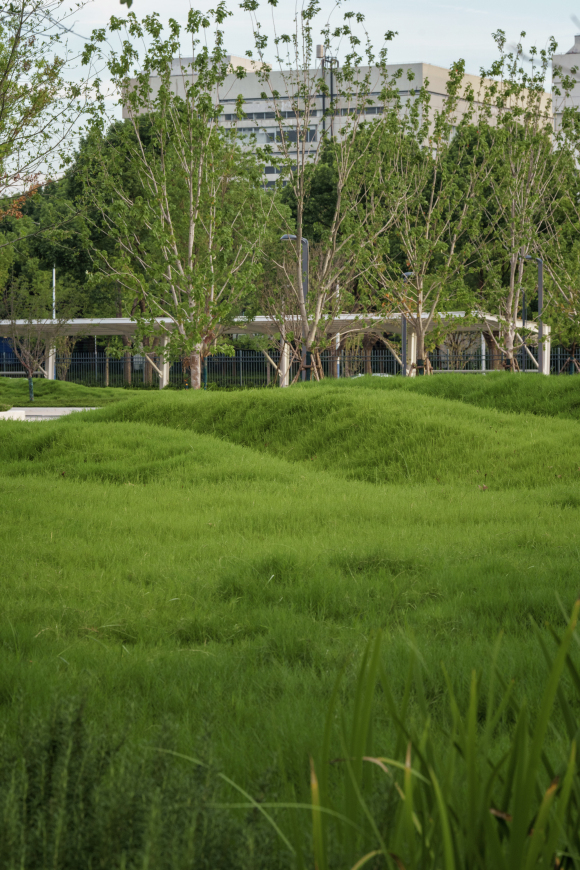 细浪轻抚的人本园区：常州合全药业研发园区景观设计 / 易栖建筑E7 ARCHITECTS – mooool木藕设计网